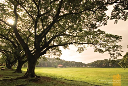 METRO MANILA | Walking through the University of the Philippines ...